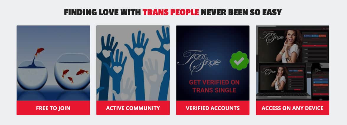 TransSingle Helps Members Find One-of-a-Kind Relationships