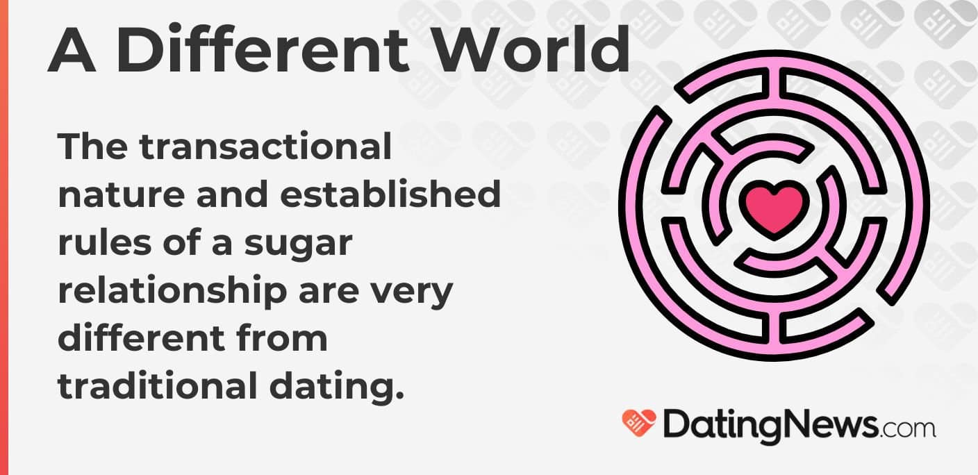 What Is a Sugar Baby? Niche Dating Attitudes and Behaviors